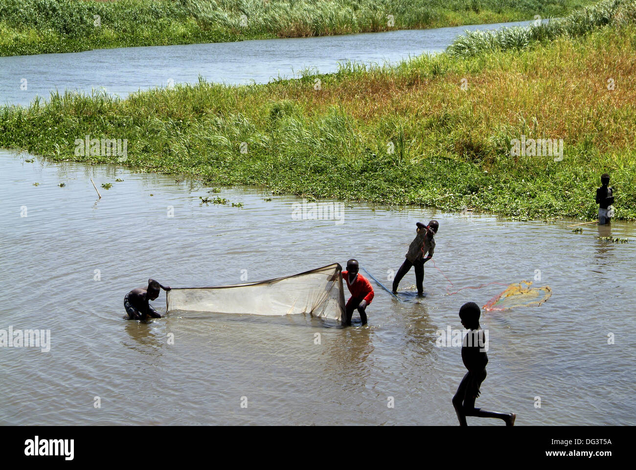 Nile river fish hi-res stock photography and images - Alamy