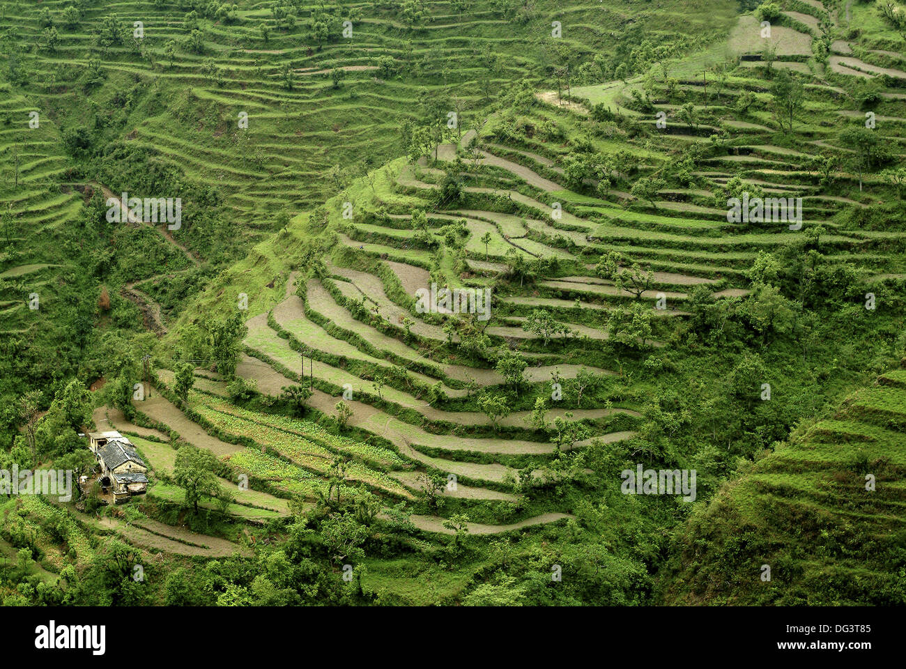 Chamba hi-res stock photography and images - Alamy