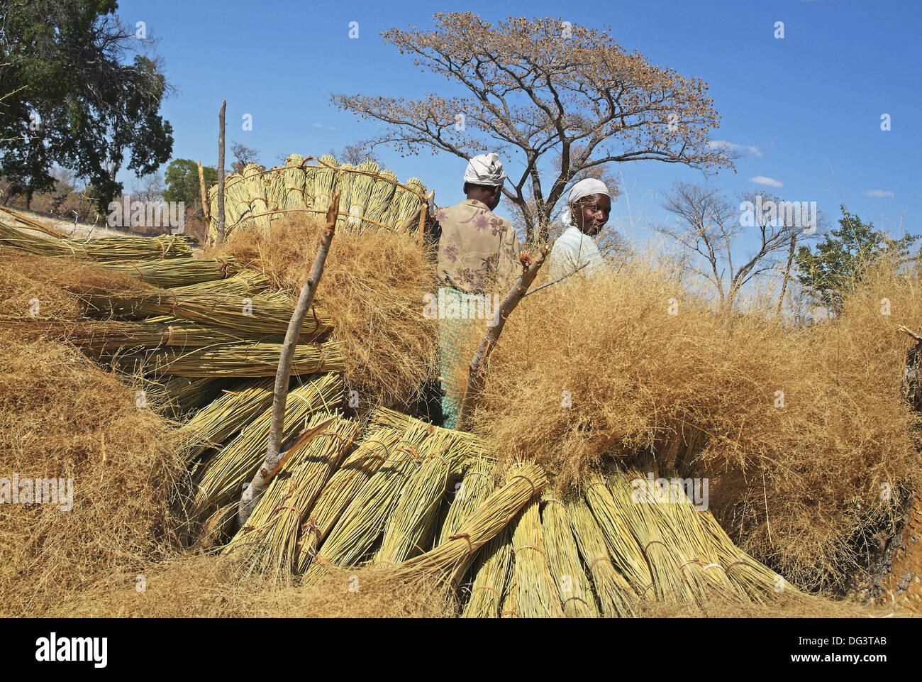 Divundu hi-res stock photography and images - Alamy