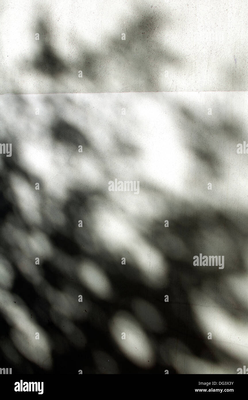 Dappled light shadows Stock Photo - Alamy