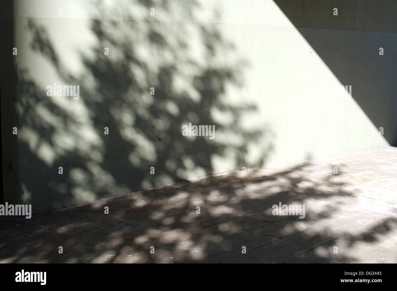 Dappling light hi-res stock photography and images - Alamy