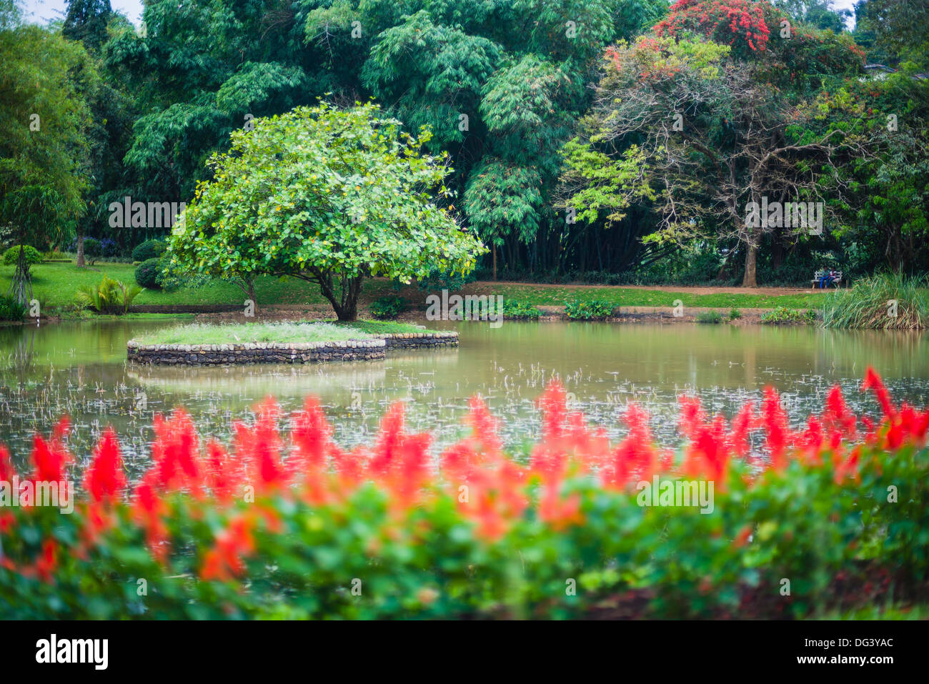Peradeniya hi-res stock photography and images - Alamy