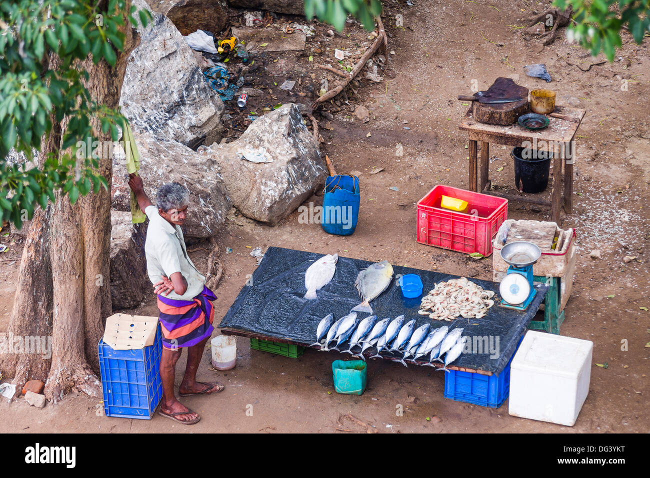 Fisherman selling fish at the fish market in the Old Town of Galle, Sri ...