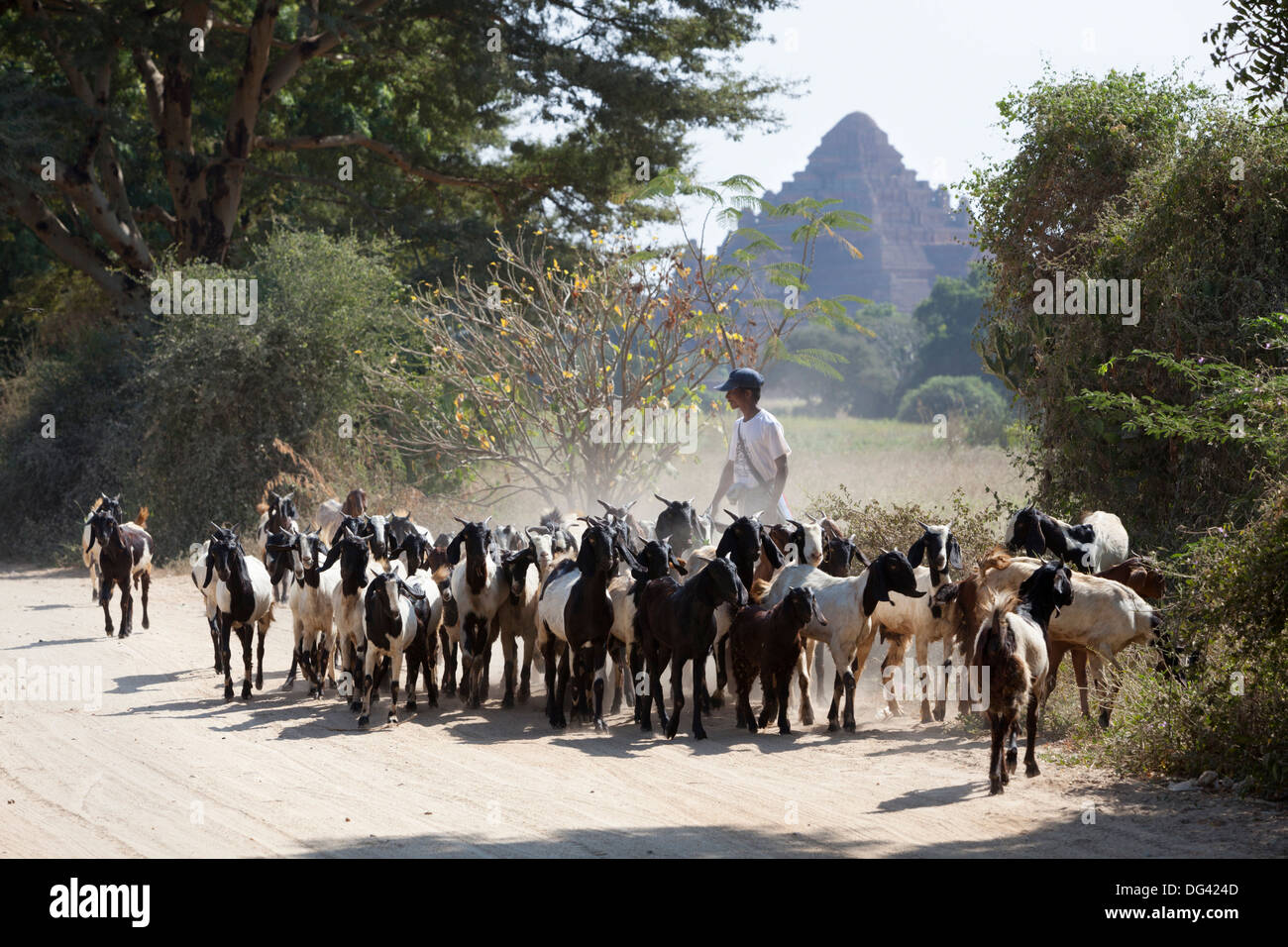 Landmarks of bagan High Resolution Stock Photography and Images - Alamy