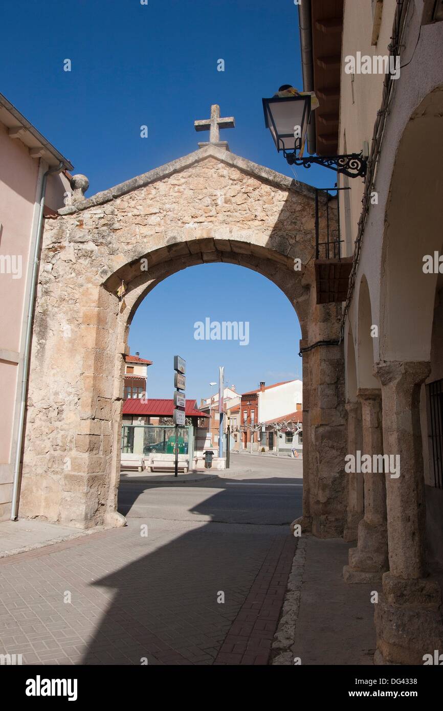 Pesquera vineyard hi-res stock photography and images - Alamy