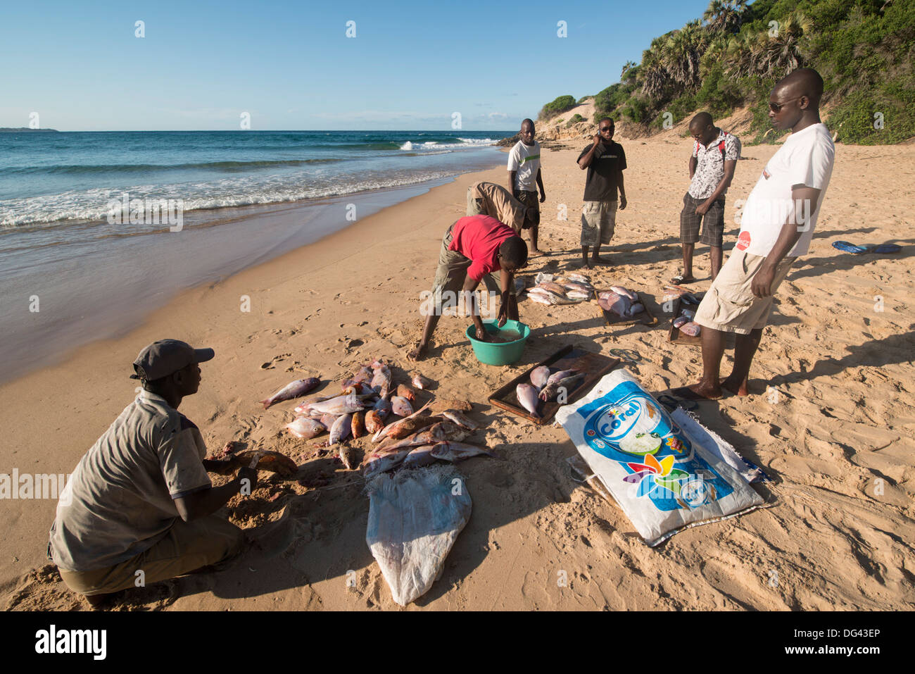 Tofo Beach, Mozambique, Africa Stock Photo - Alamy