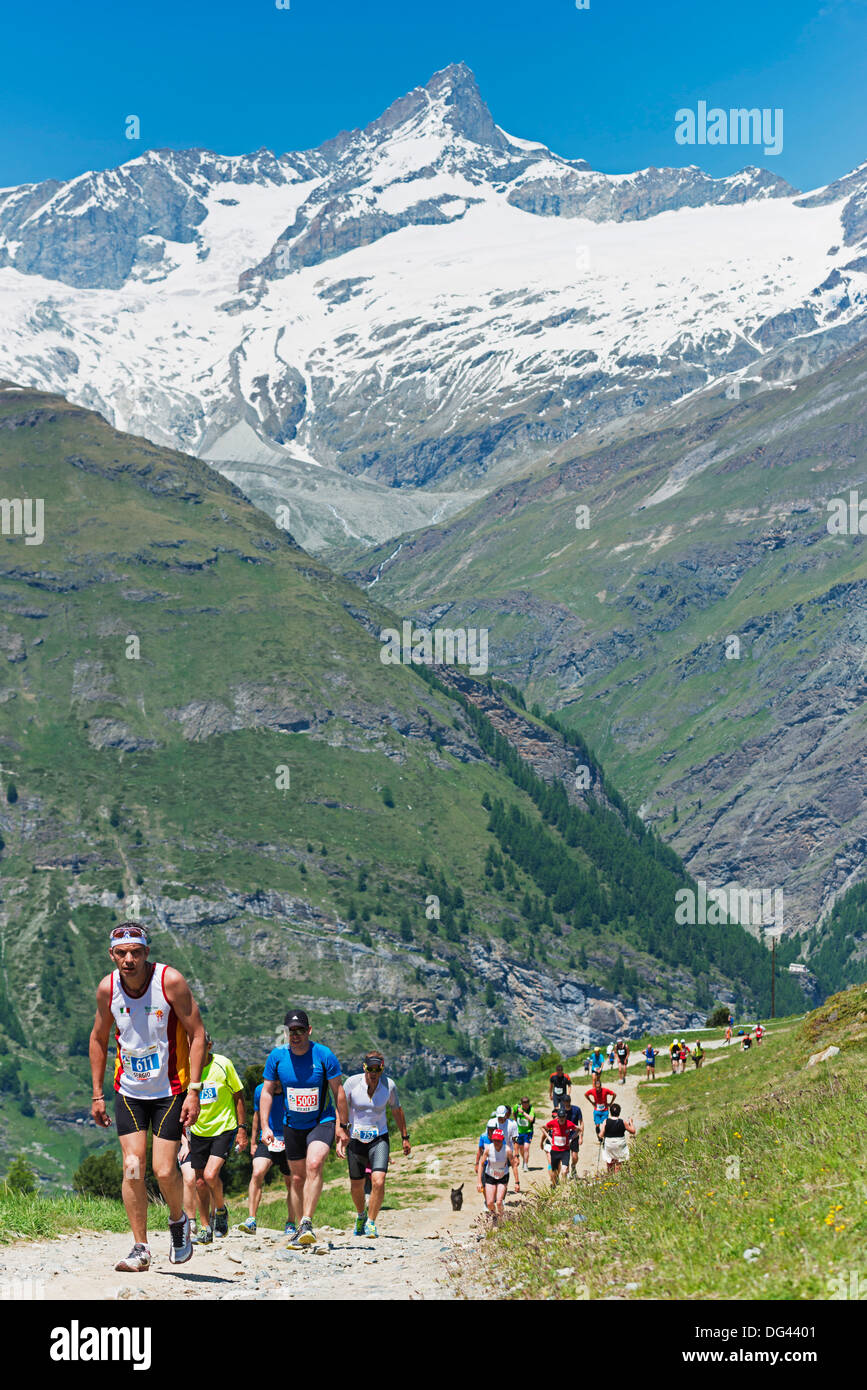 Runners in the Zermatt Marathon and the Matterhorn, Valais, Swiss Alps ...