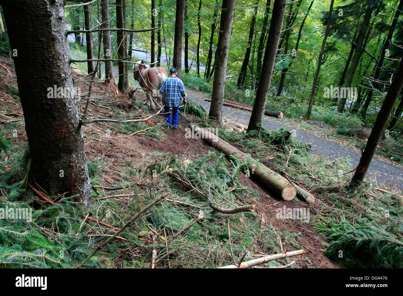 Jens Nattermann with Hans, one of his three horses. With Hans he won ...