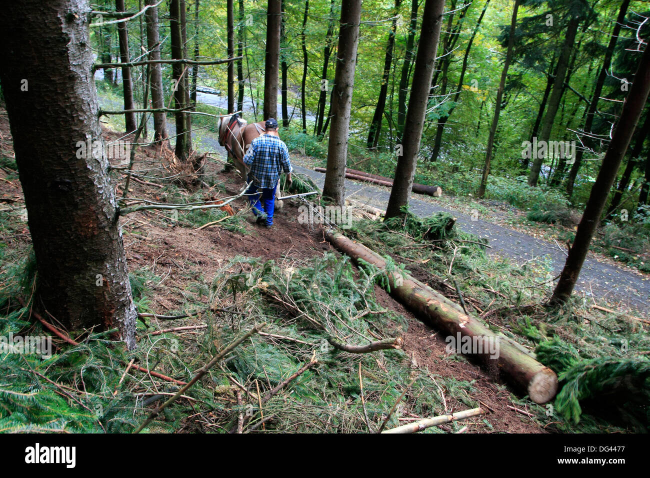 Jens Nattermann with Hans, one of his three horses. With Hans he won ...