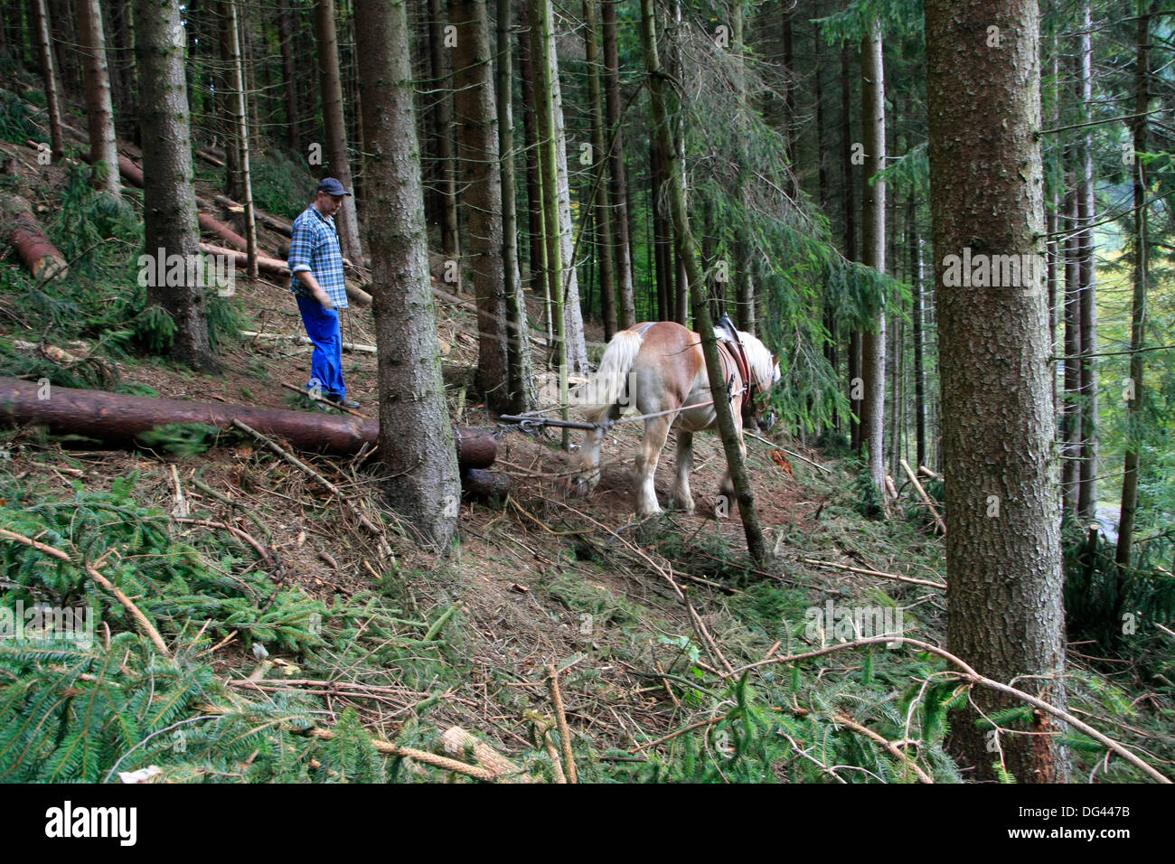 Jens Nattermann with Hans, one of his three horses. With Hans he won ...
