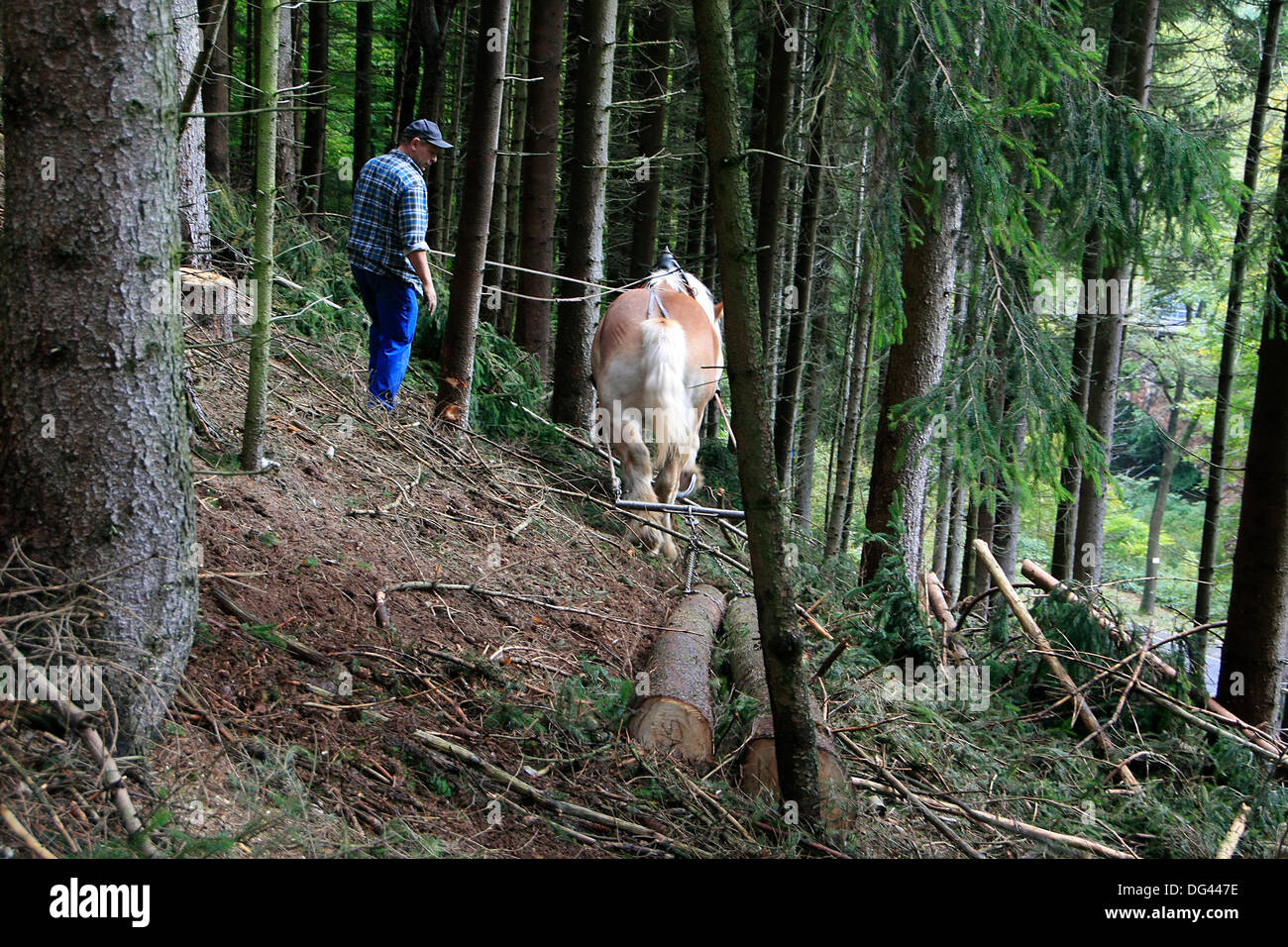 Jens Nattermann with Hans, one of his three horses. With Hans he won ...