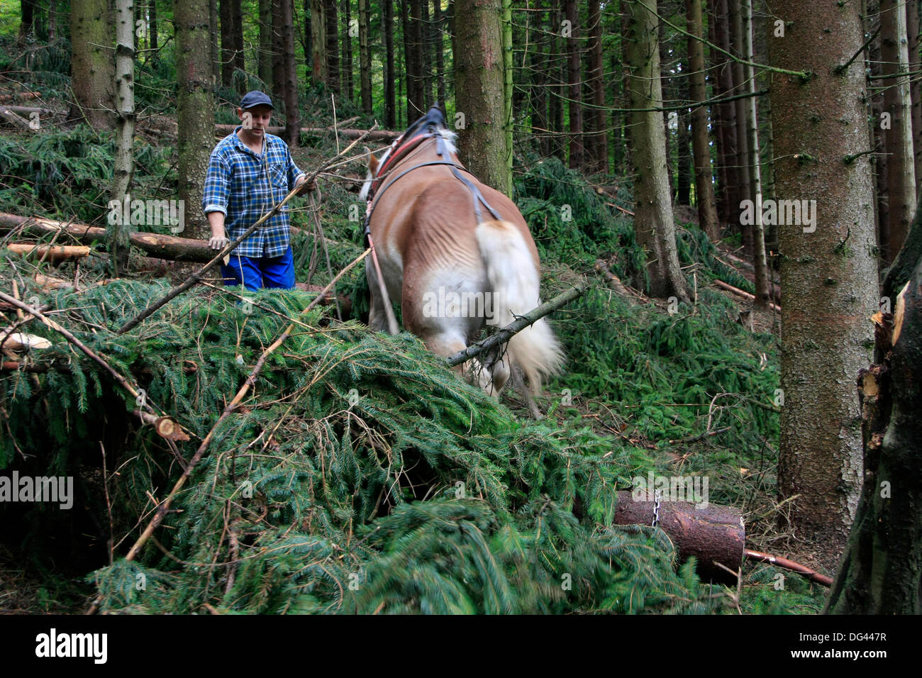 Jens Nattermann with Hans, one of his three horses. With Hans he won ...