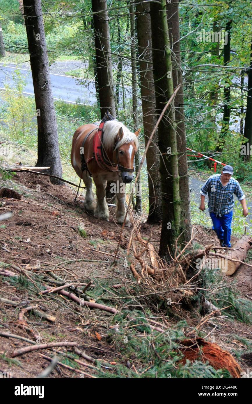 Jens Nattermann with Hans, one of his three horses. With Hans he won ...