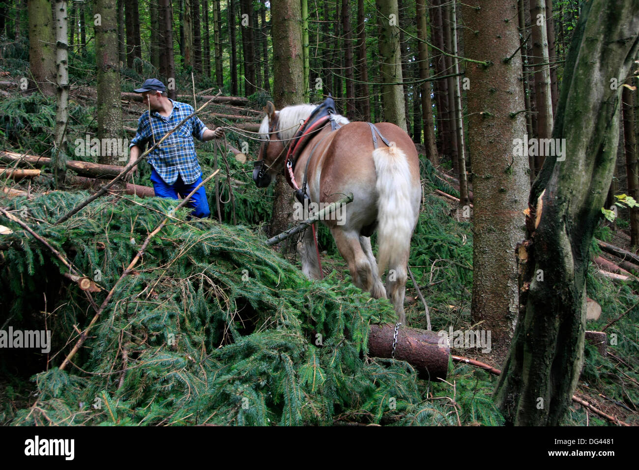 Jens Nattermann with Hans, one of his three horses. With Hans he won ...