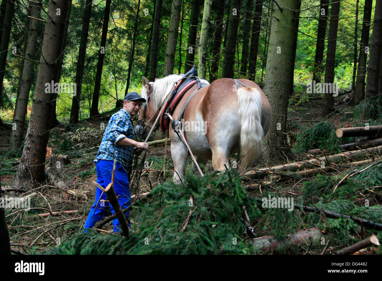 Jens Nattermann with Hans, one of his three horses. With Hans he won ...