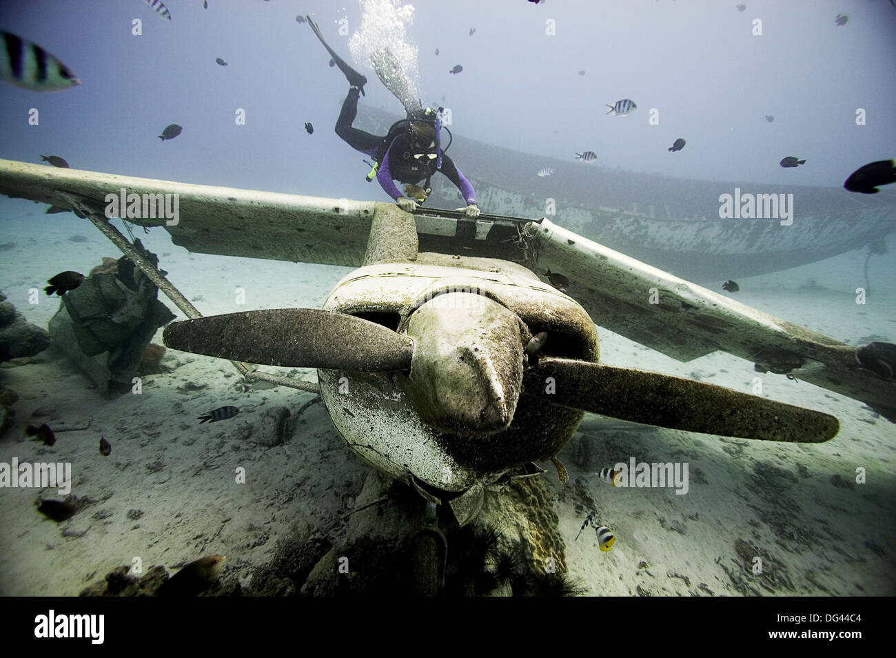 Underwater shipwreck human remains High Resolution Stock Photography ...