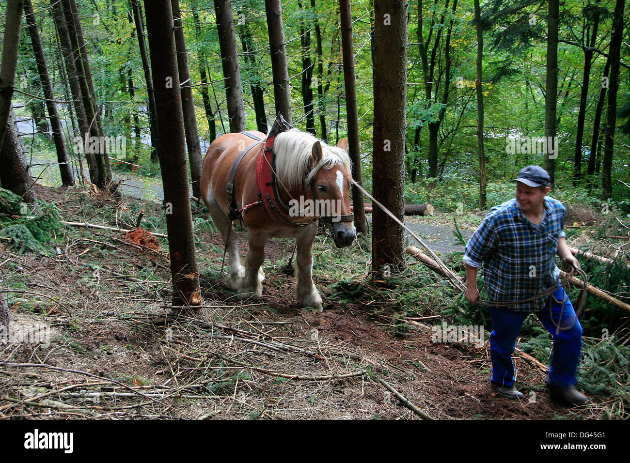Jens Nattermann with Hans, one of his three horses. With Hans he won ...