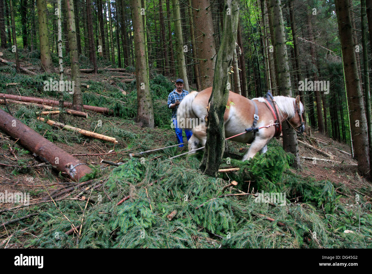 Jens Nattermann with Hans, one of his three horses. With Hans he won ...
