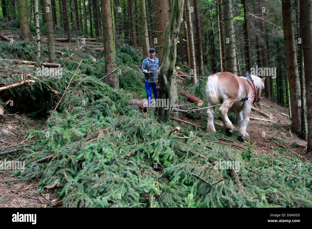 Jens Nattermann with Hans, one of his three horses. With Hans he won ...