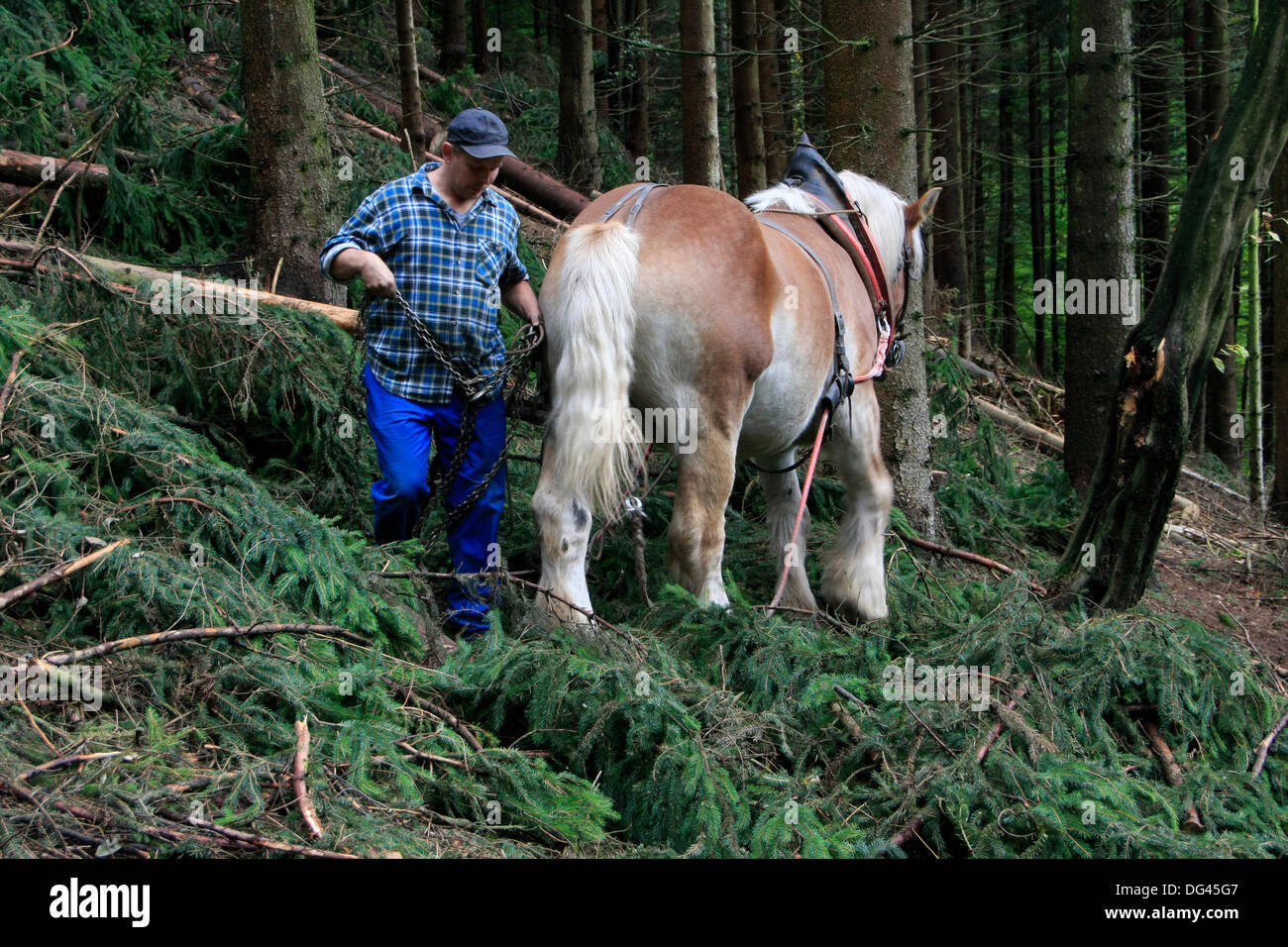 Jens Nattermann with Hans, one of his three horses. With Hans he won ...