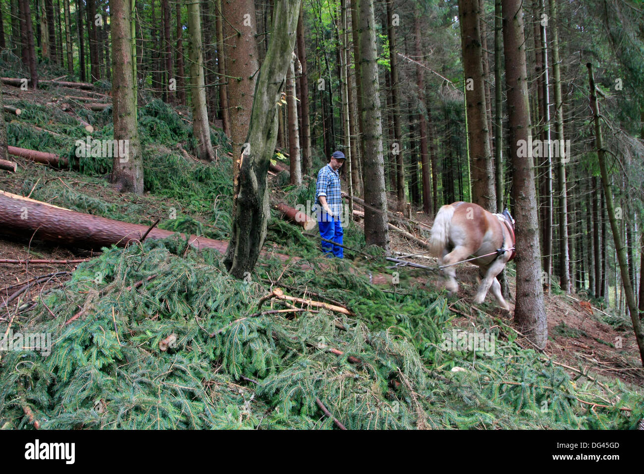 Jens Nattermann with Hans, one of his three horses. With Hans he won ...