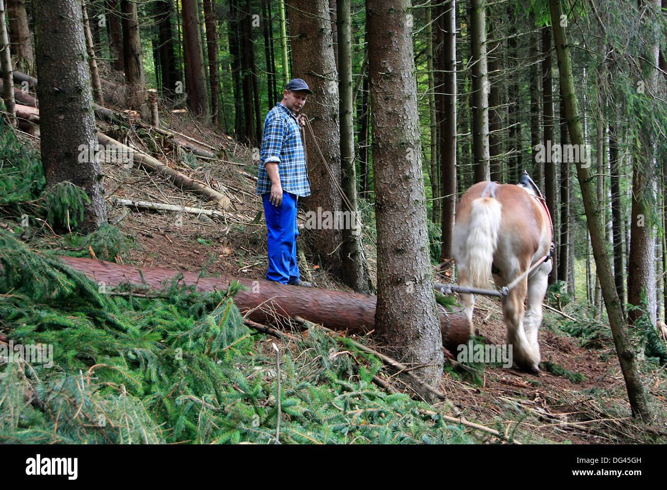 Jens Nattermann with Hans, one of his three horses. With Hans he won ...