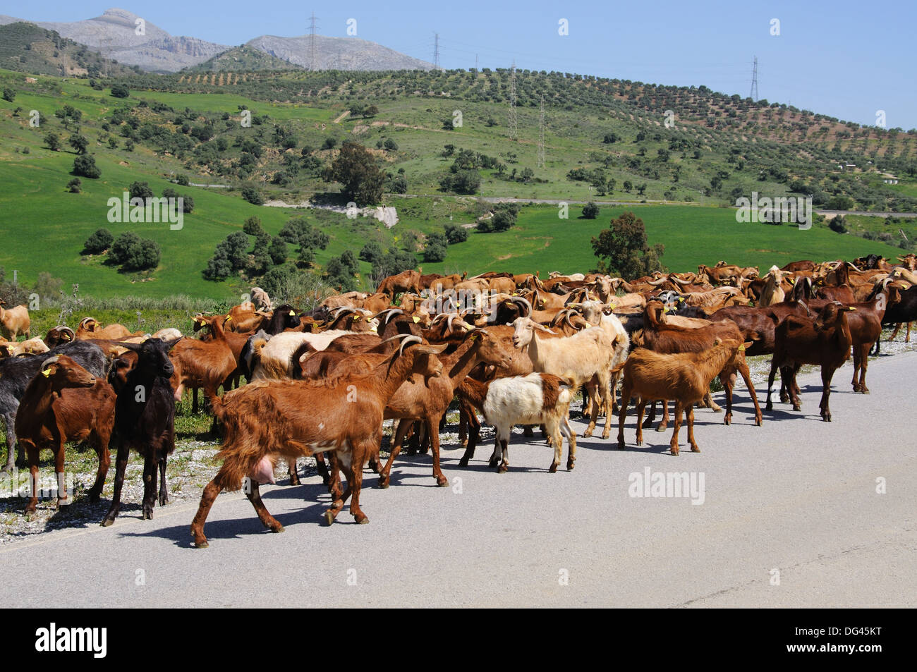 Spanish countryside hi-res stock photography and images - Alamy