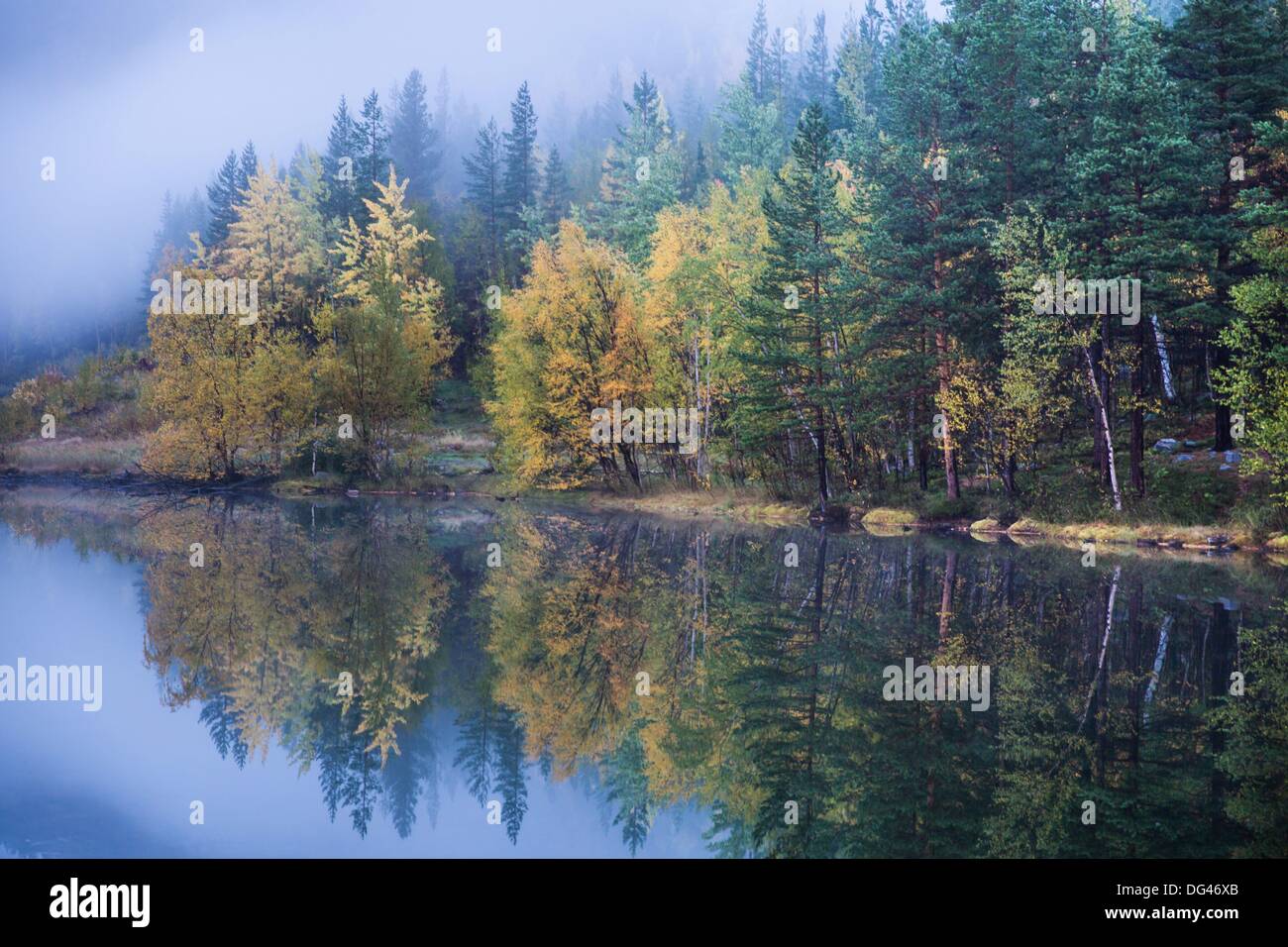 Saltdal hi-res stock photography and images - Alamy