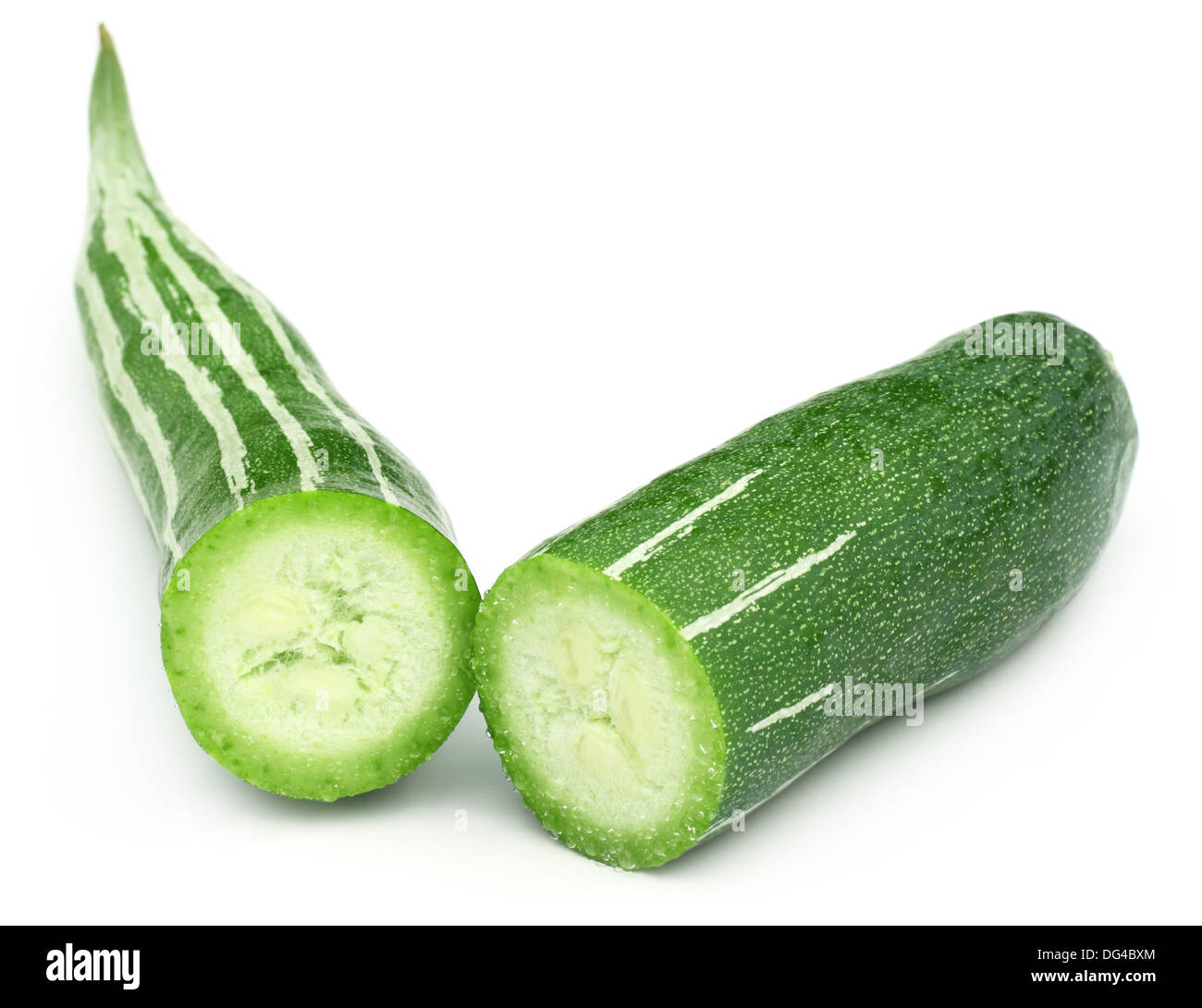 Serpent gourd plant Cut Out Stock Images & Pictures - Alamy