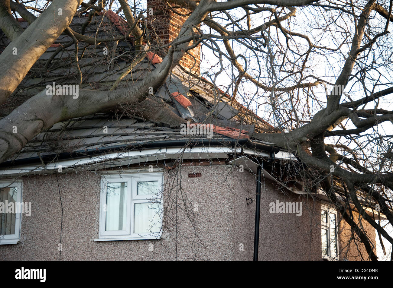Roof crushed by fallen tree hi-res stock photography and images - Alamy