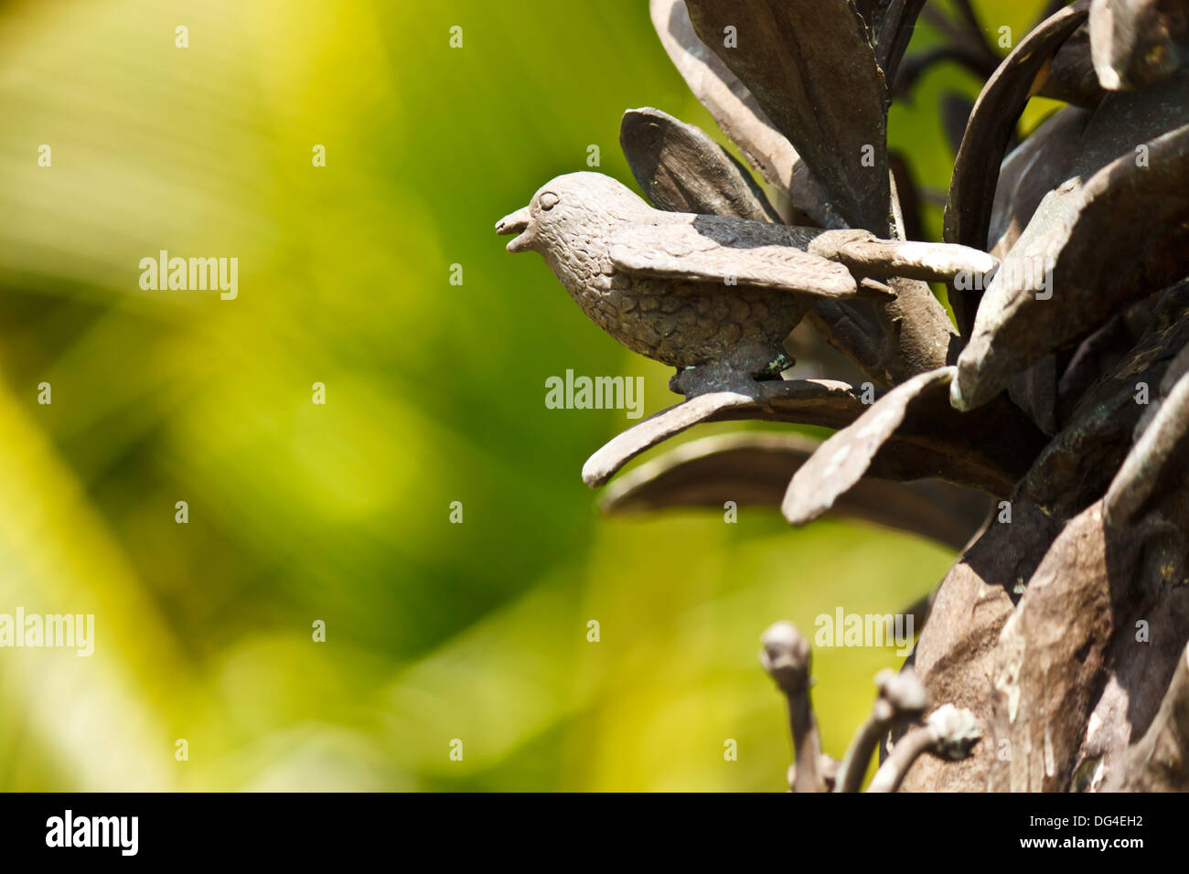 Small round bird hi-res stock photography and images - Alamy
