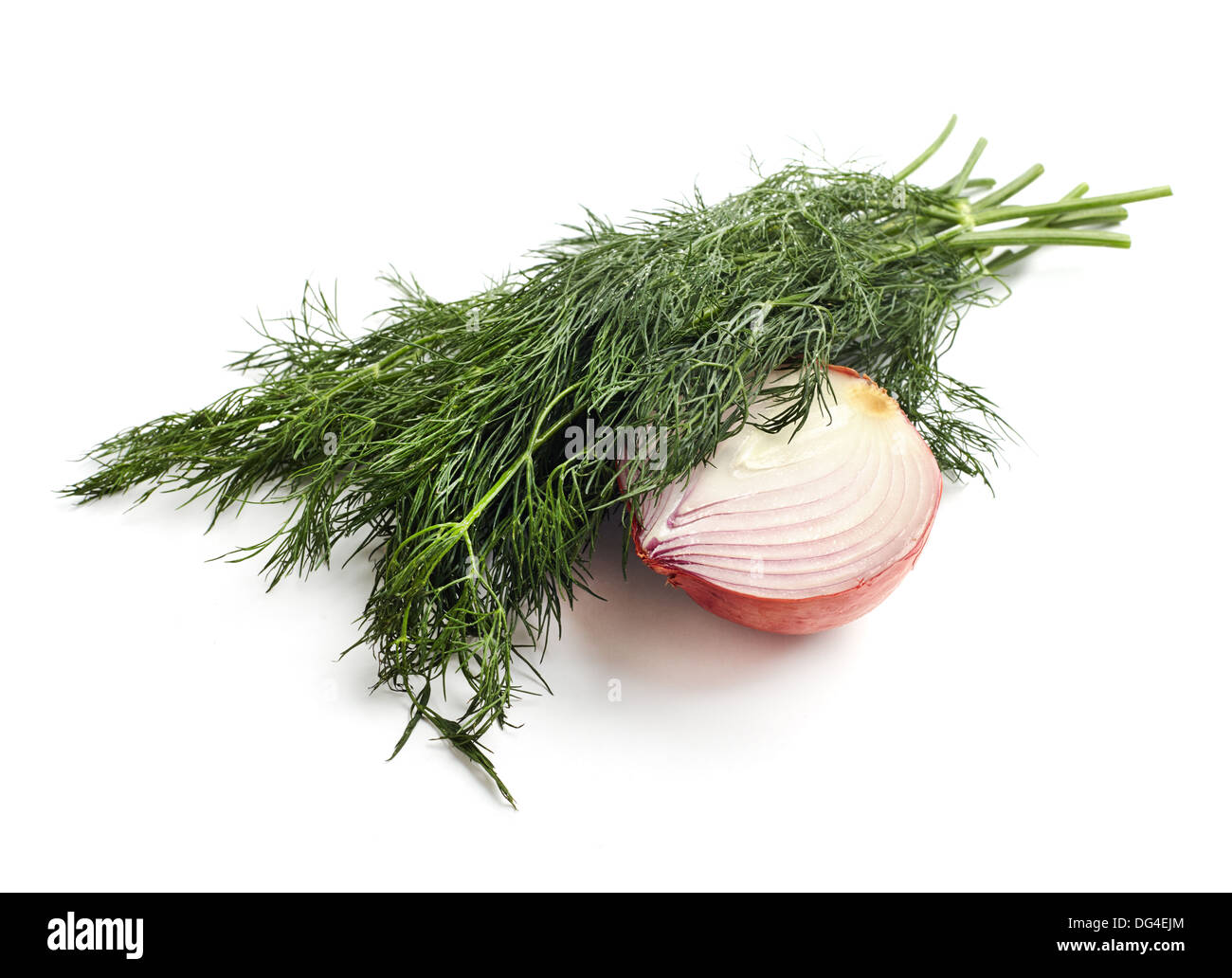 Onions dill isolated on Cut Out Stock Images & Pictures - Alamy