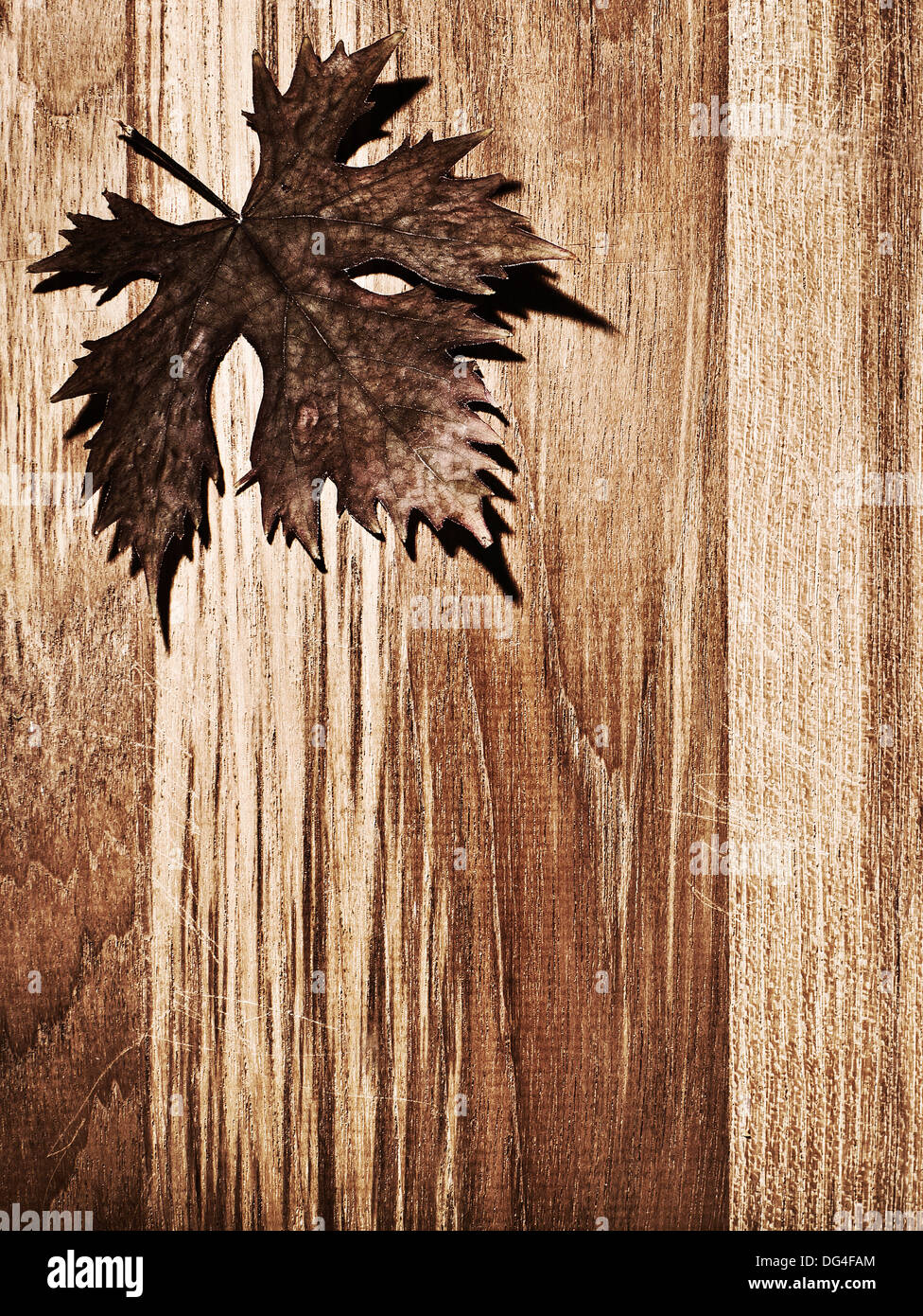 Autumn leaf border over natural wood background, old dry leaf shape ...