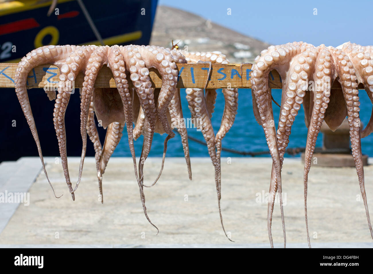 Octopus catch hi-res stock photography and images - Alamy