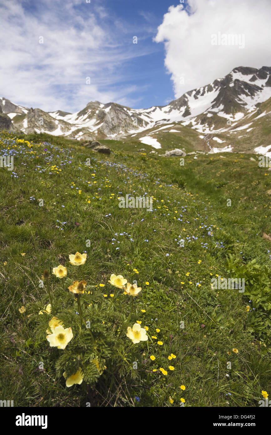 Col du grand saint bernard hi-res stock photography and images - Alamy