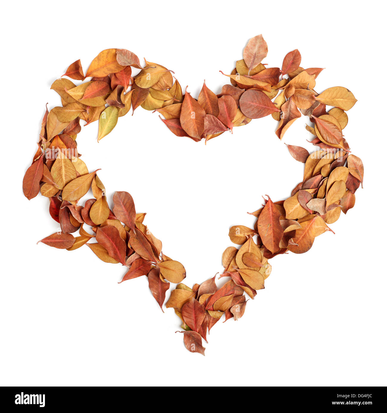 Fall foliage from red Cut Out Stock Images & Pictures - Alamy