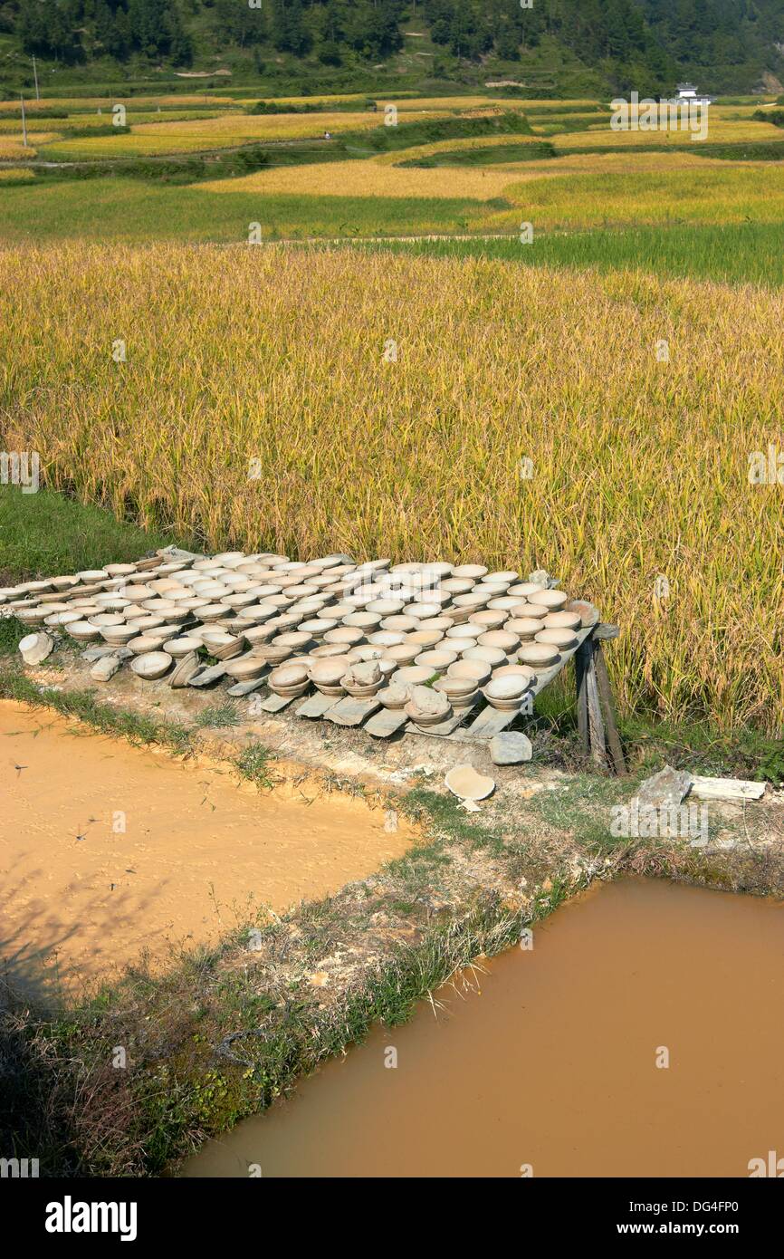 Huang li hi-res stock photography and images - Alamy