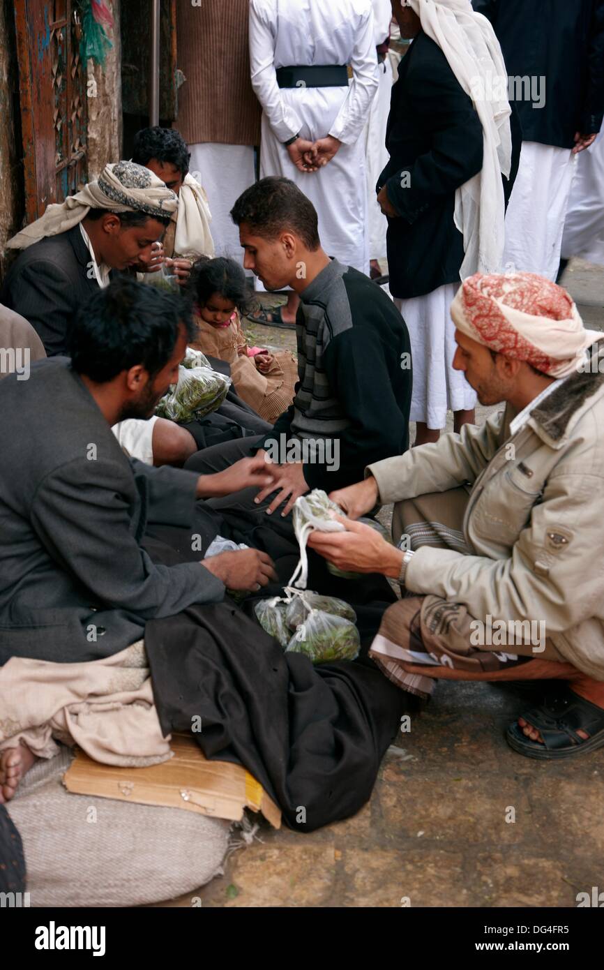 Khat leaf hi-res stock photography and images - Alamy