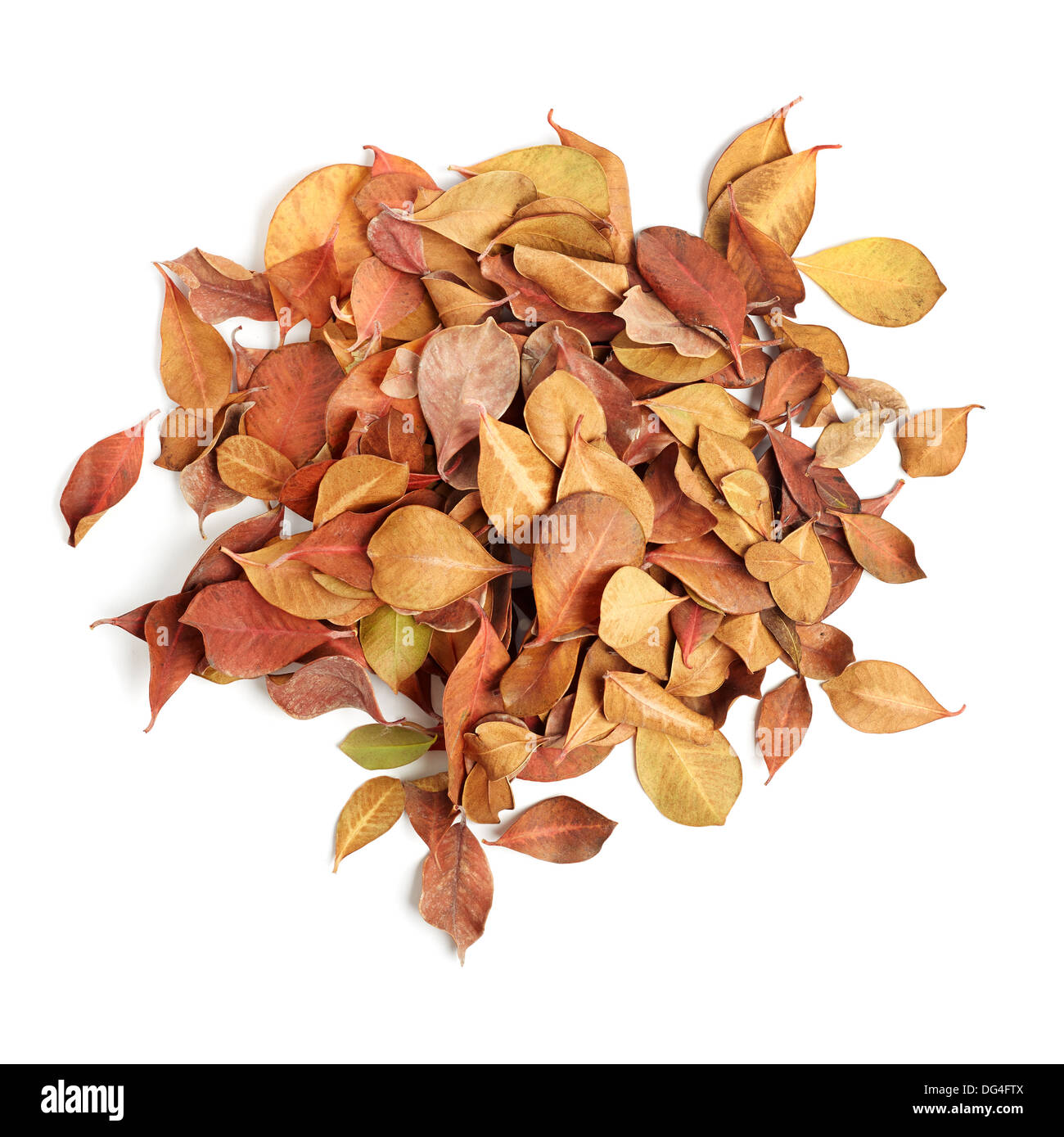 Beautiful abstract dry leaves Cut Out Stock Images & Pictures - Alamy
