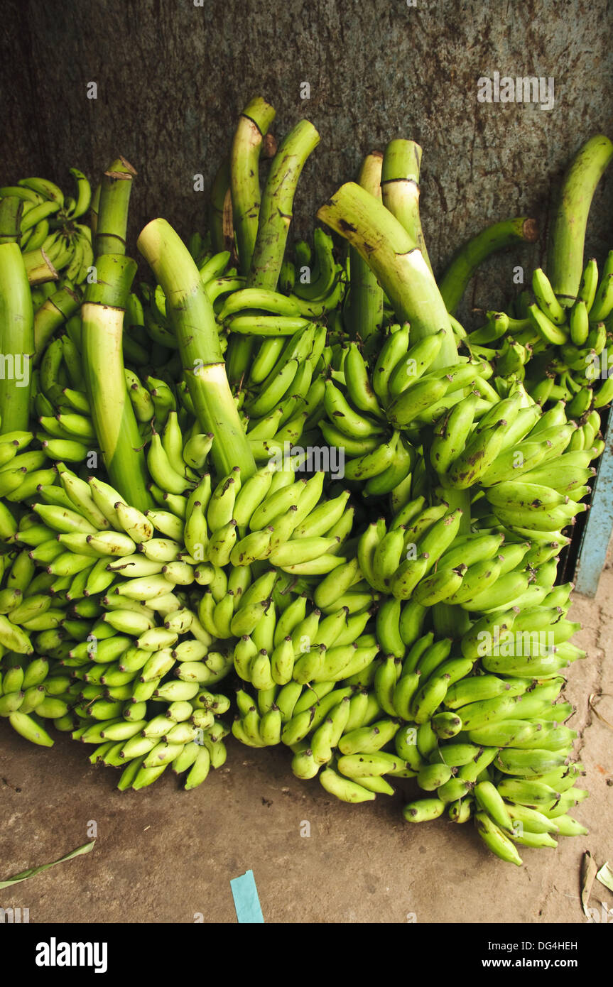Kerala Banana Stock Photos & Kerala Banana Stock Images - Alamy