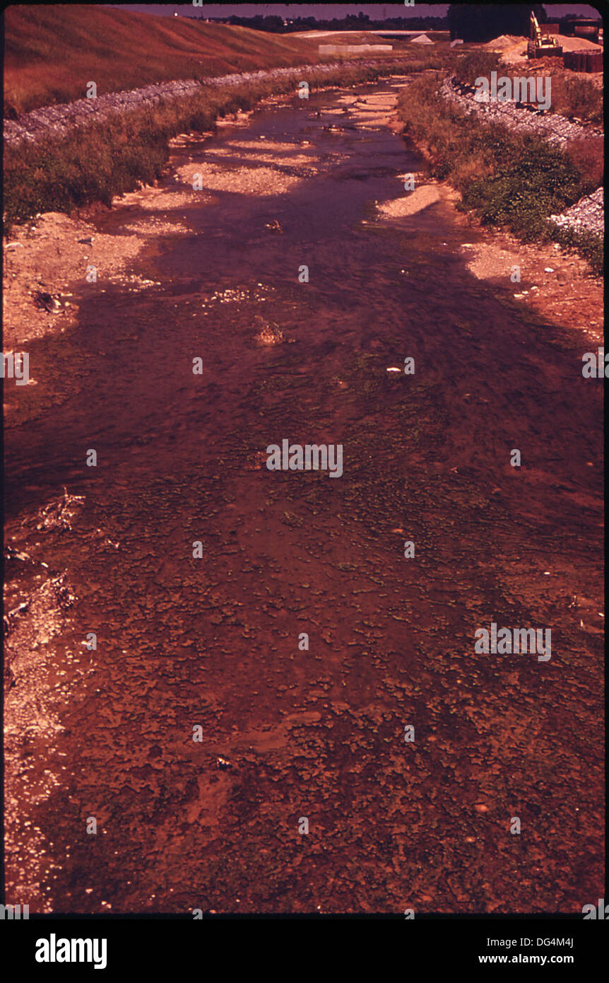 Herring run hi-res stock photography and images - Alamy