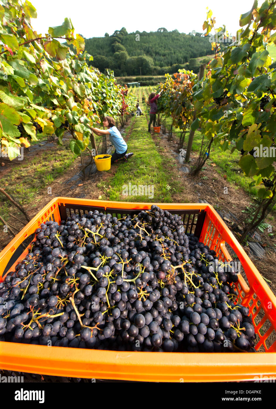 Vendage hi-res stock photography and images - Alamy