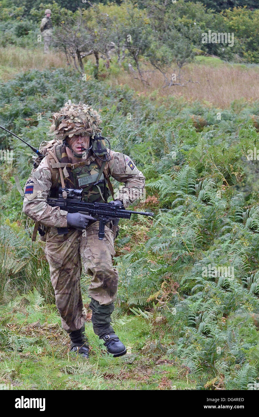 Welsh guards training hi-res stock photography and images - Alamy