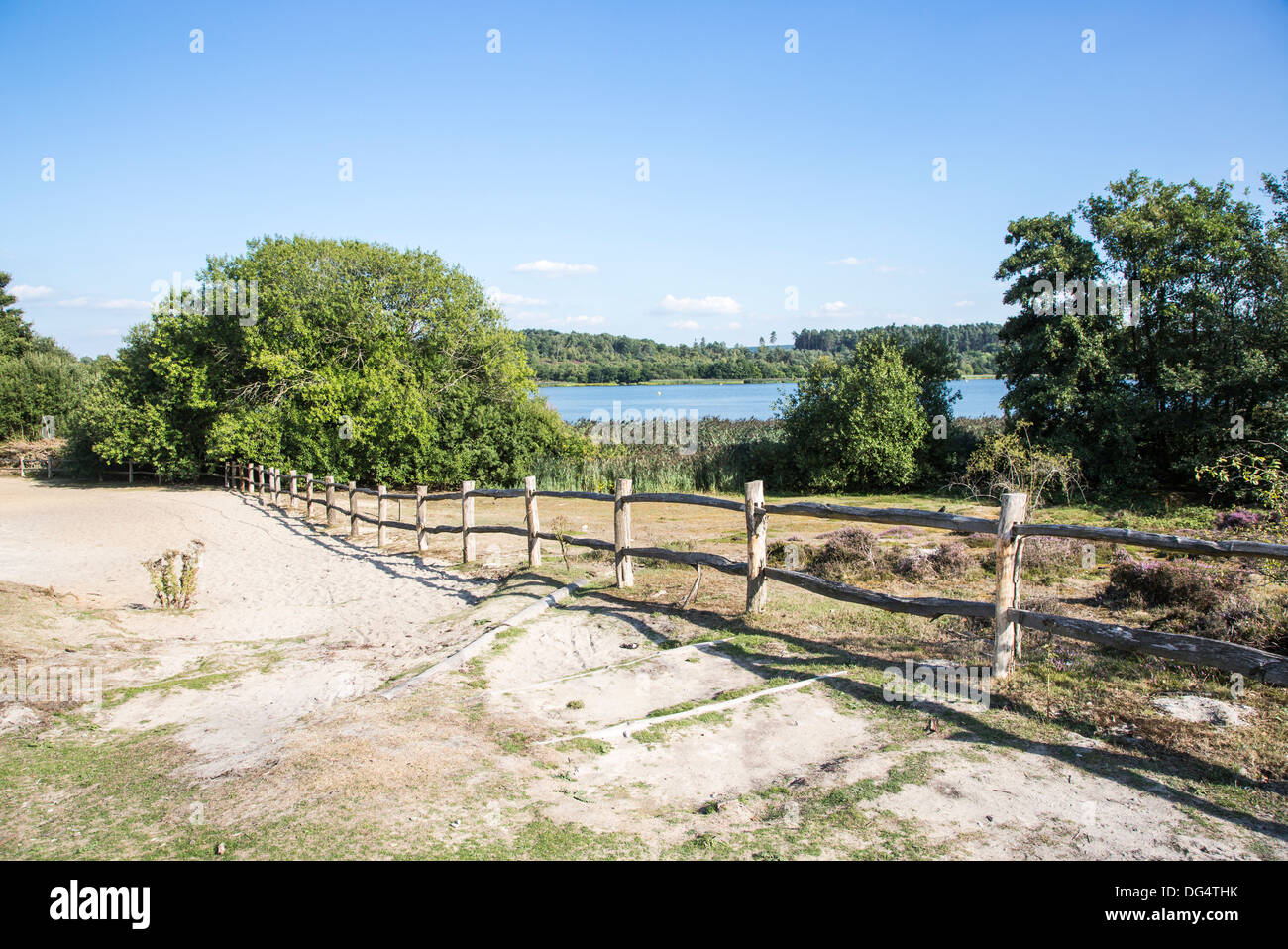 Frensham beach surrey uk hi-res stock photography and images - Alamy