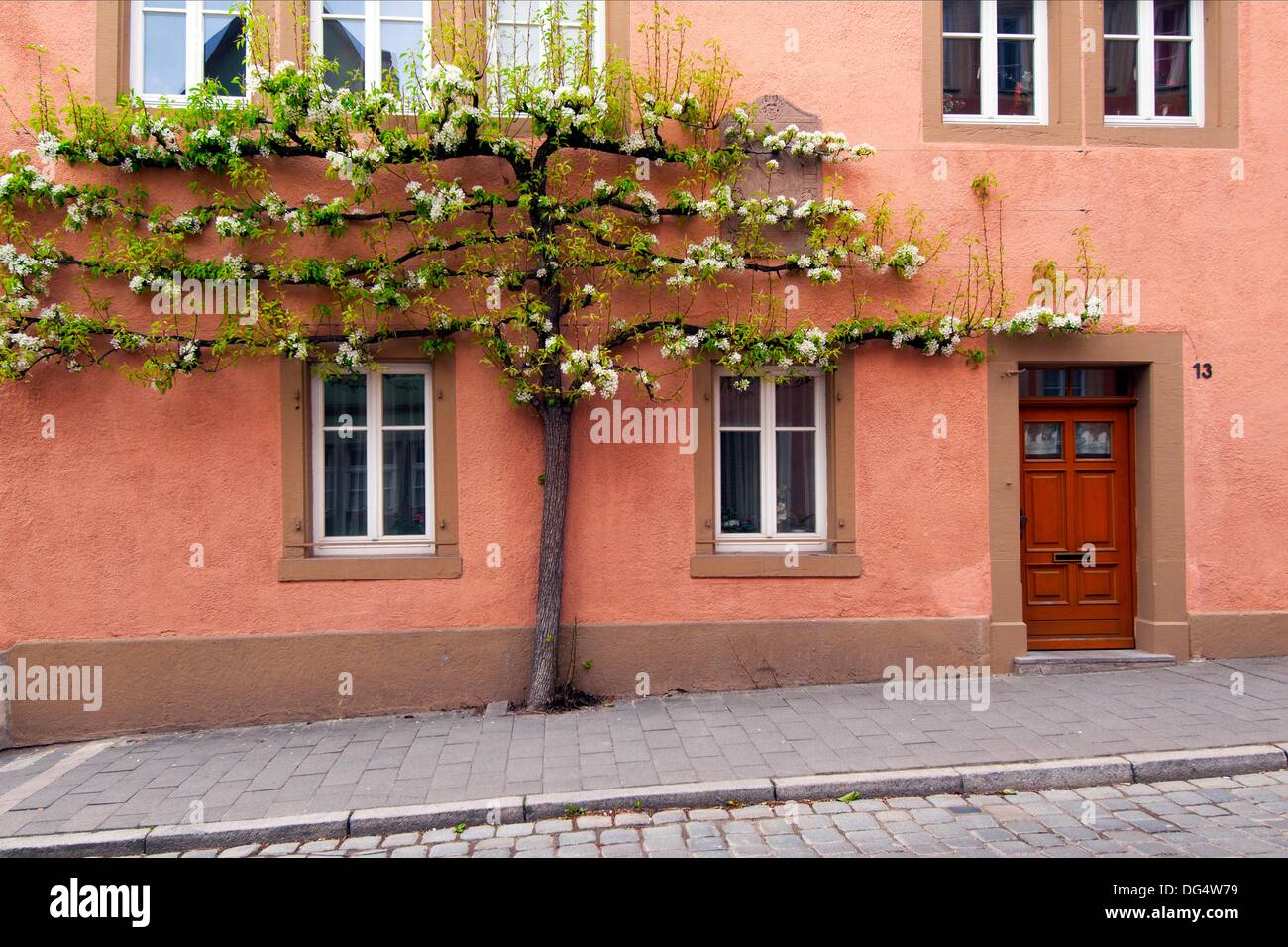 Overgrown Building High Resolution Stock Photography and Images - Alamy