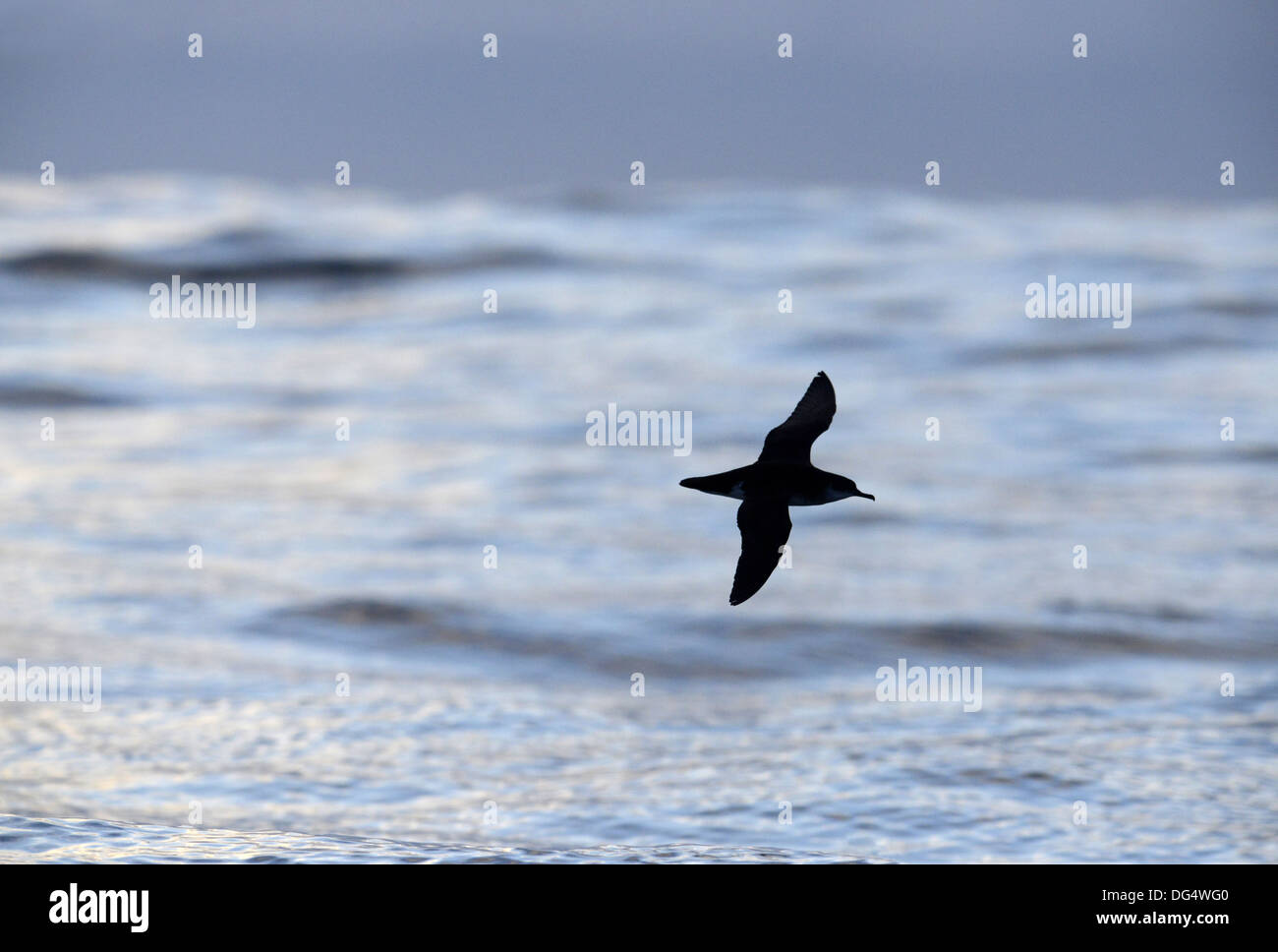 Aerial Manx High Resolution Stock Photography and Images - Alamy