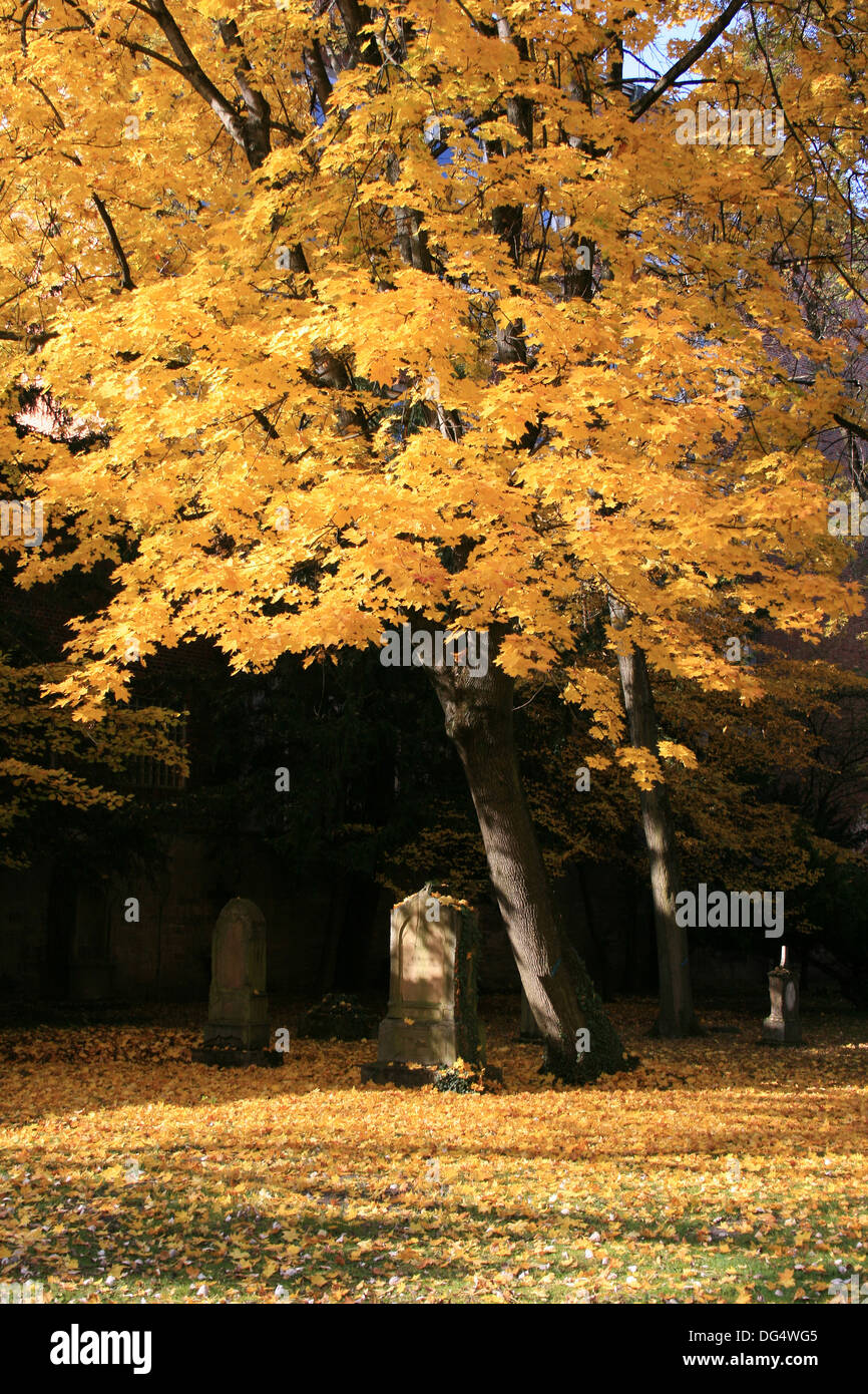 Bright autumn foliage at the cemetery hi-res stock photography and ...
