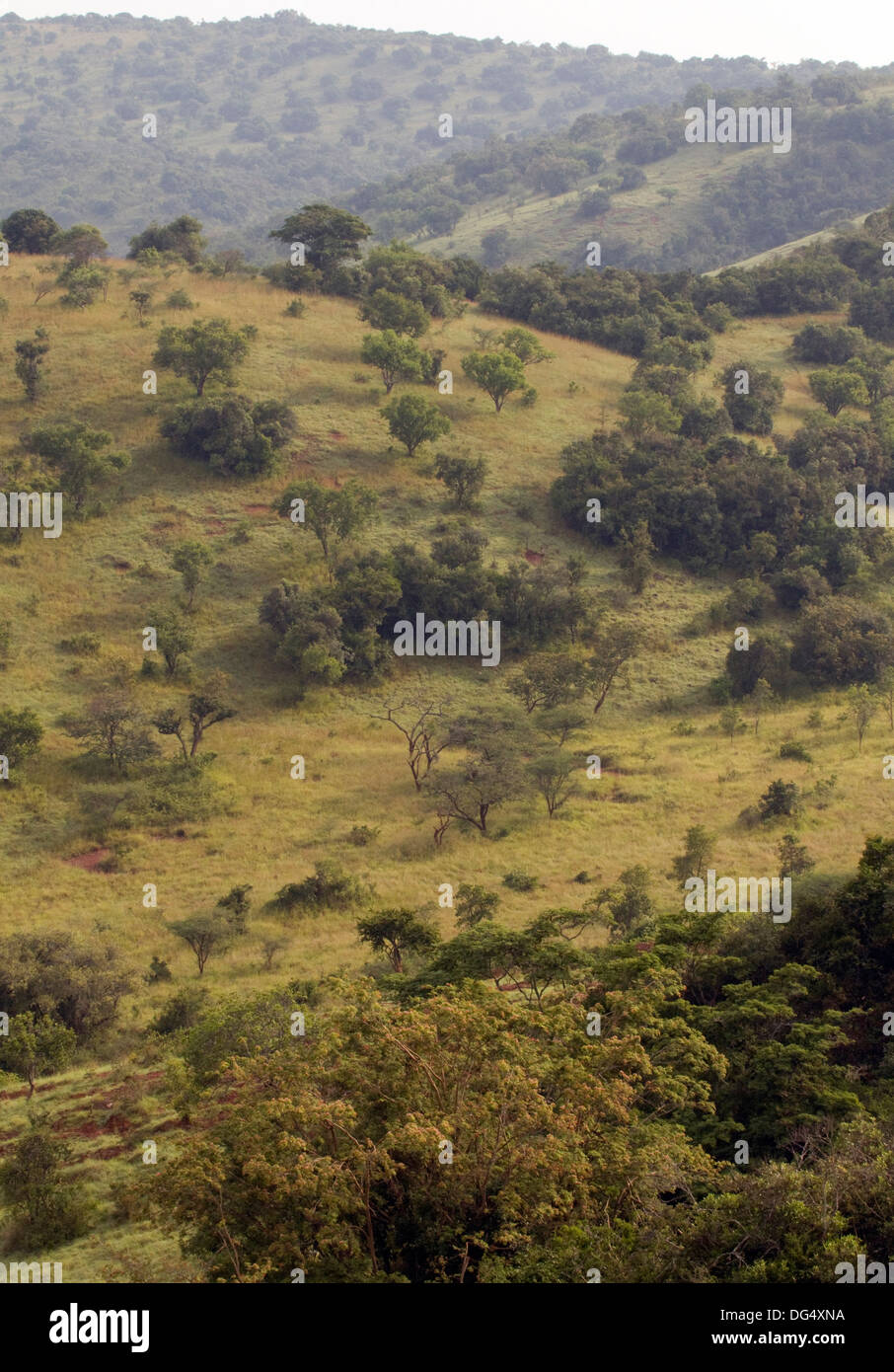 Southern Akagera National Game Park Rwanda Central Africa landscape ...