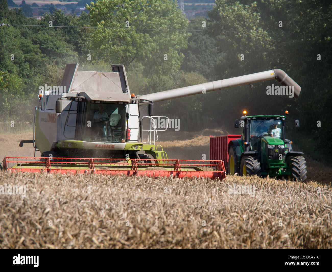 Combine harvester at work in South Yorkshire Stock Photo - Alamy