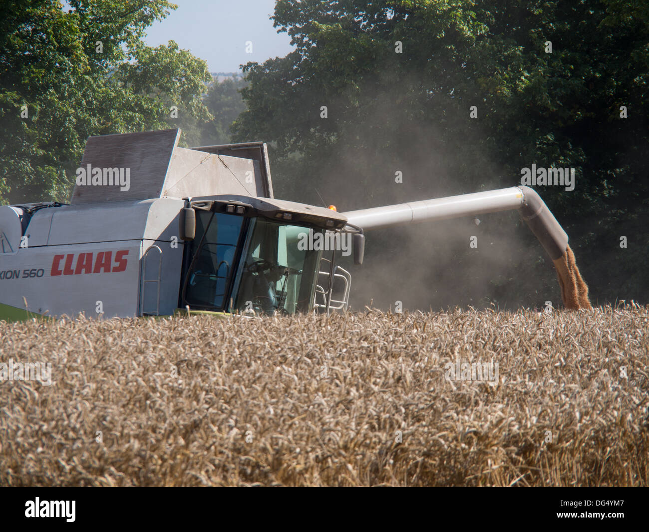 Combine harvester at work in South Yorkshire Stock Photo - Alamy